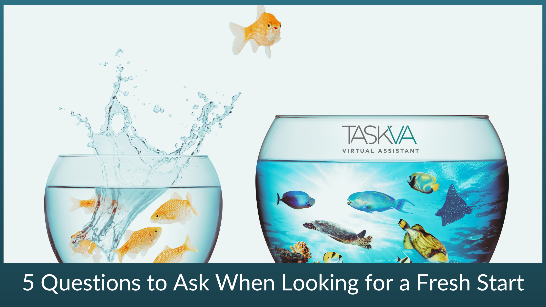 5 Questions to Ask When Looking for a Fresh Start - TASK Virtual ...
